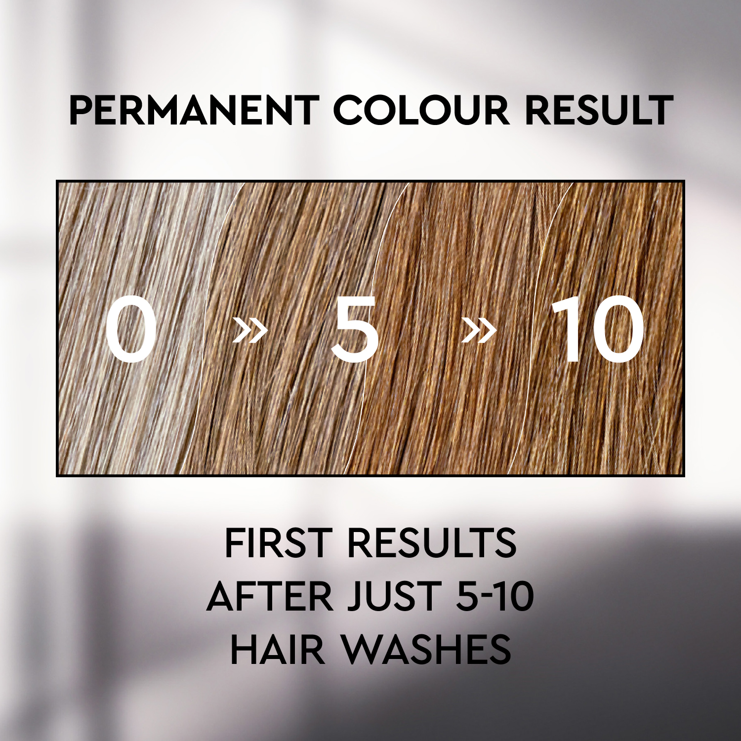 Plantur 39 Anti-Grey Effect Shampoo